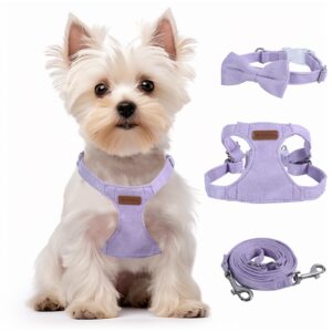 dog harness and leash set, xs no pull adjustable puppy harness with multifunction purple dog leash and collar, soft no choke escape proof pet harness vest for small dogs and cats (purple, xs)