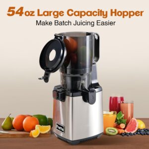 Cold Press Juicer Machines,Fretta Slow Masticating Juicers with 5.3" Large Feed Chute Fit Whole Fruits & Vegetable Easy Clean Self Feeding Juice Extractor,Tritan Material BPA Free 250W,Stainless Steel