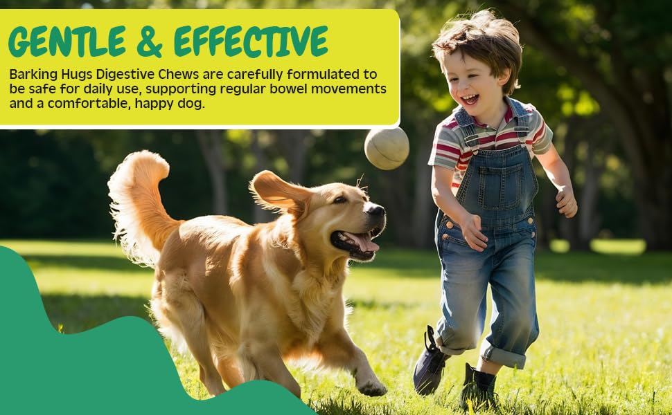 Barking Hugs Digestive Chews - Natural Probiotic & Prebiotic Enzyme Treats for Dogs - 6 Digestive Enzymes - Helps with Itching, Allergies, Gut Health, Digestion & Diarrhea