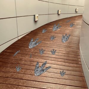 88 Pcs Dinosaur Decor Dinosaur Footprints Wall Decals, Realistic Dinosaur Footprints Wall Decals for Kids, Peel and Stick Dinosaur Track Stickers for School Playroom Baby Nursery Bedroom Home Party