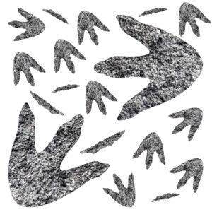 88 pcs dinosaur decor dinosaur footprints wall decals, realistic dinosaur footprints wall decals for kids, peel and stick dinosaur track stickers for school playroom baby nursery bedroom home party