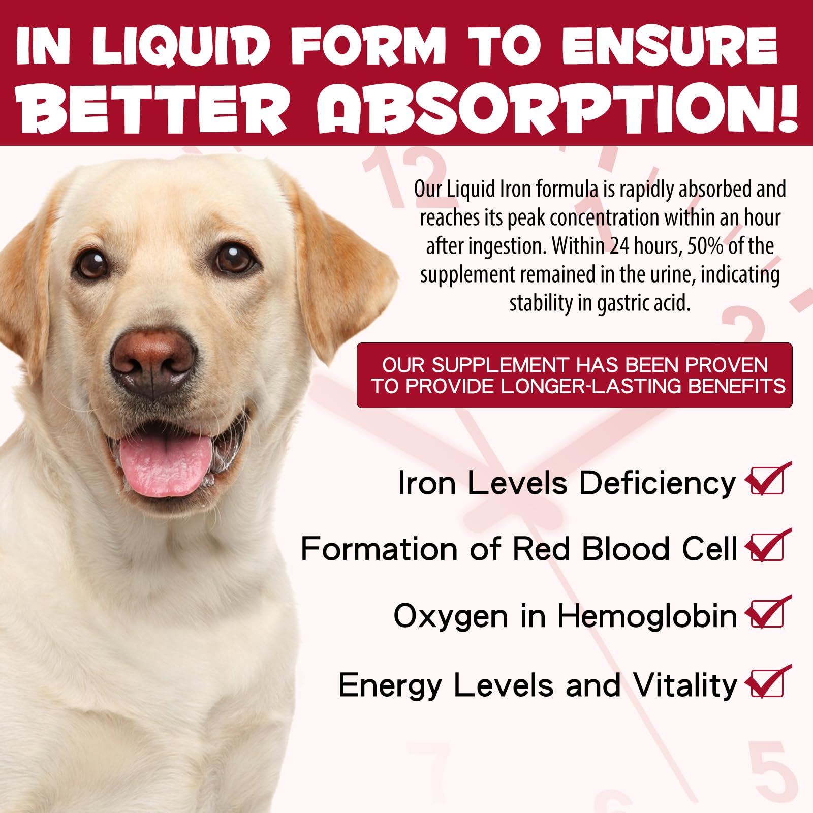 Iron Supplements for Dogs, Liquid Iron for Dogs with Folate and B12 Supports Anemia, Supplement for Anemia in Dogs, Promotes Blood Health 2 oz