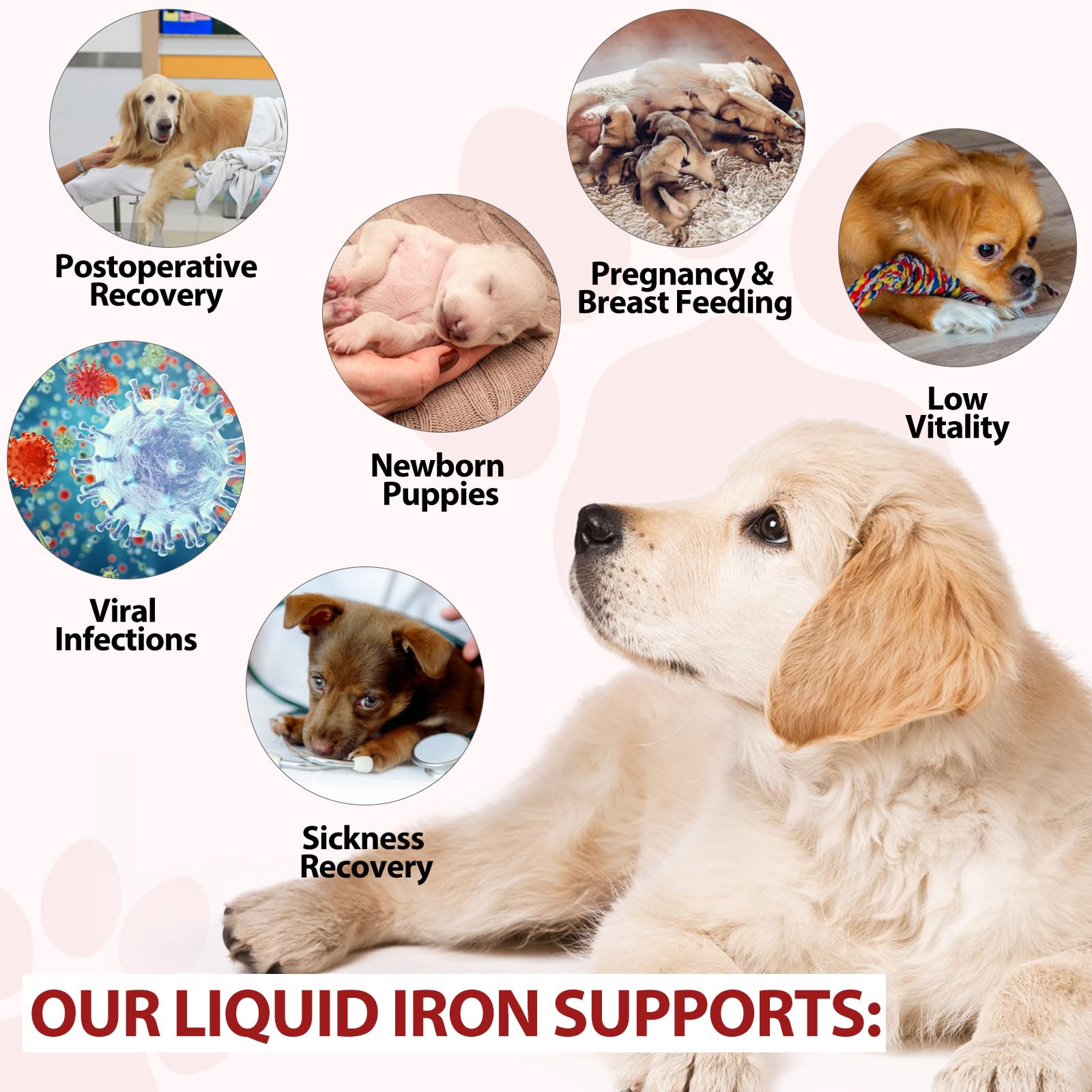 Iron Supplements for Dogs, Liquid Iron for Dogs with Folate and B12 Supports Anemia, Supplement for Anemia in Dogs, Promotes Blood Health 2 oz