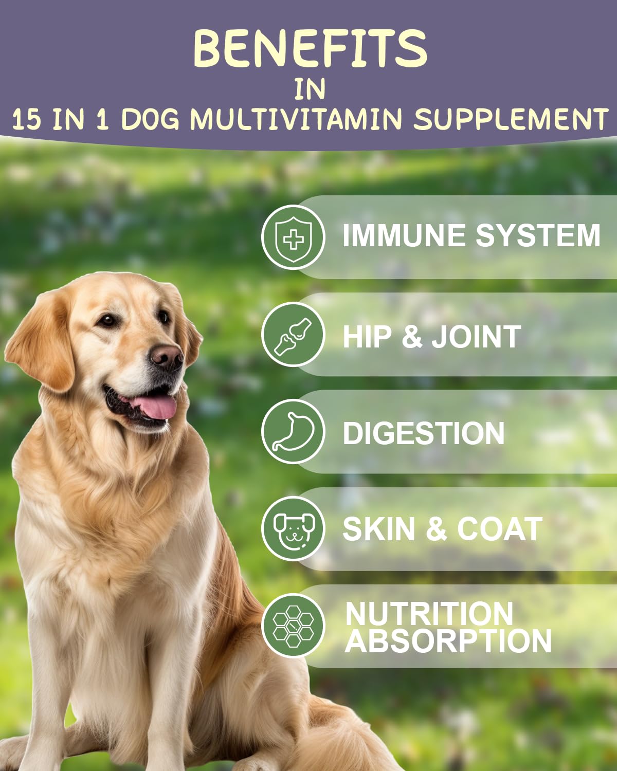 15 in 1 Dog Multivitamin Supplement - Dog Vitamins for Immune System, Digestion, Hip & Joint, Skin & Coat - Multivitamin Chews for Dog with Glucosamine & Chondroitin - Chicken Flavor, 120 Chews