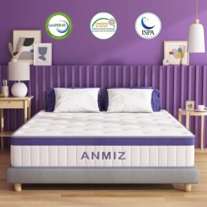 ANMIZ Full Size Mattress, 12 inch Hybrid Memory Full Foam Mattress in a Box, Double Mattress Medium Firm and Pocket Spring, Sleep Supportive & Pressure Relief, 12 inch Full Mattresses (75"x54"x12")