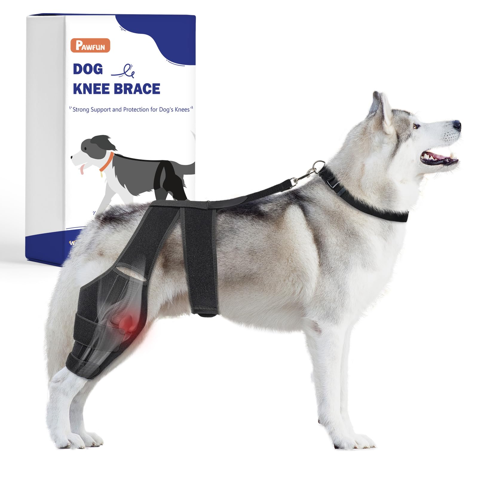 Dog Knee Brace Adjustable for Torn ACL and Hip Dysplasia - Supports Large and Small Dogs with CCL, Ligament Injuries, Osteoarthritis Relief, Enhances Mobility and Recovery (Large)