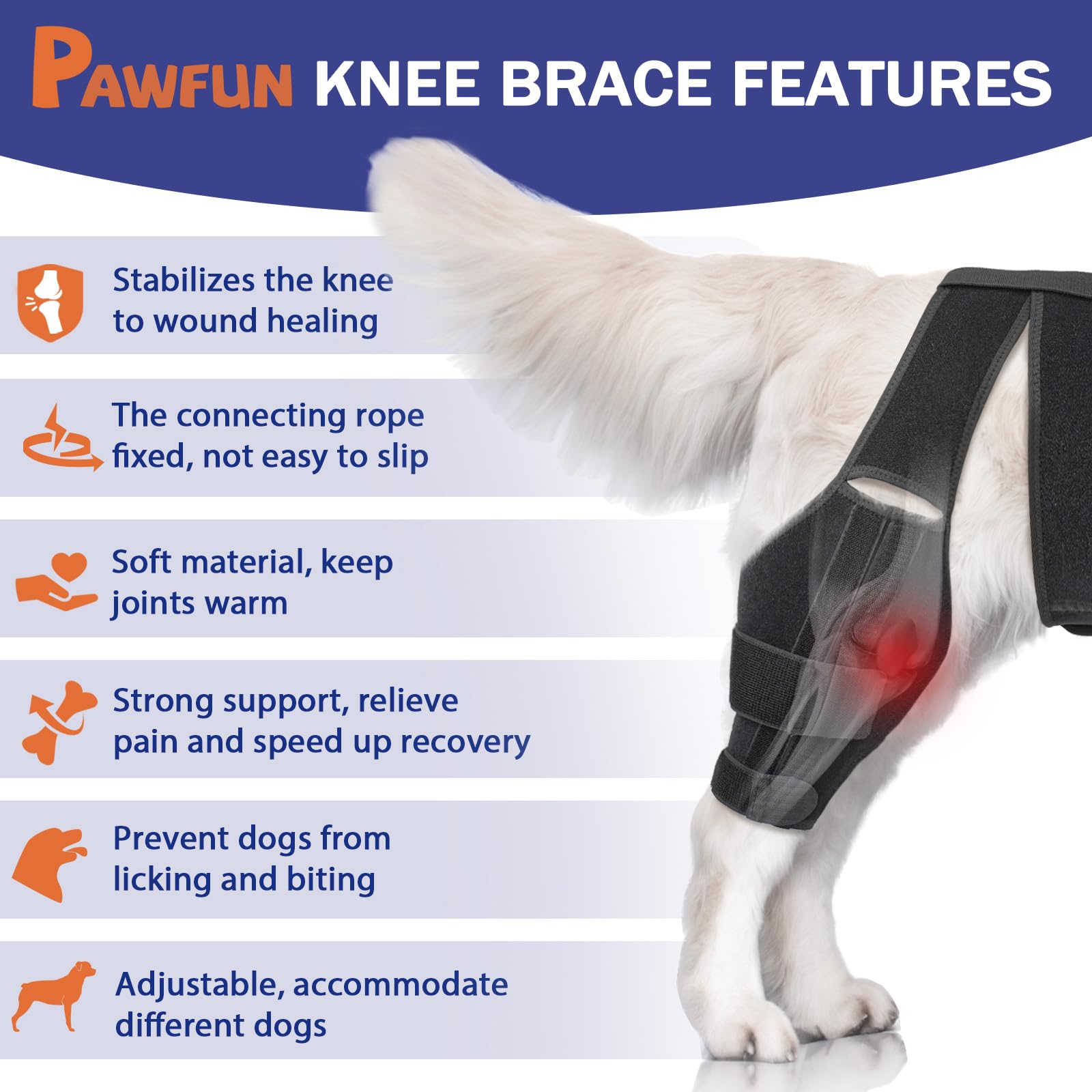 Dog Knee Brace Adjustable for Torn ACL and Hip Dysplasia - Supports Large and Small Dogs with CCL, Ligament Injuries, Osteoarthritis Relief, Enhances Mobility and Recovery (Large)