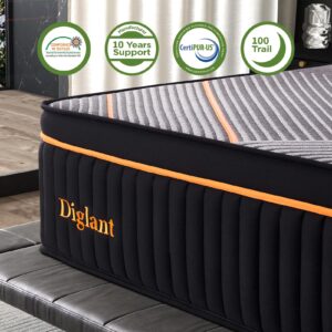 DIGLANT Queen Mattress, 14 Inch Plush Memory Foam Hybrid Mattress with Individually Pocket Coils for Pressure Relief,Balanced Support, Queen Size Mattress in Box, Motion Isolation