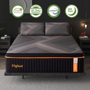 DIGLANT California King Mattress, 14 Inch Plush Memory Foam Hybrid Mattress with Individually Pocket Coils for Pressure Relief, Balanced Support, Calking Size Mattress in Box, Motion Isolation