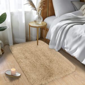 KING DARE 2x3 Area Rugs for Bedroom, Soft Small Throw Rug for Dorm, Soft Fluffy Shaggy Plush Fuzzy Shag Non-Slip Washable Carpet for Bedside Closet Girls Boys Room, Beige Rug