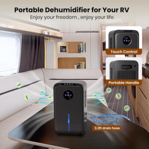 Dehumidifier,88OZ Dehumidifier for Bedroom With Drain Hose Quiet Small Dehumidifier for Bathroom Home Room Basement Portable Mini Dehumidifiers for RV Closet （800Sq.ft)