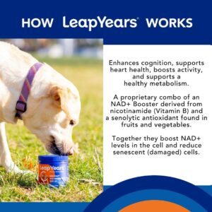 Leap Years Soft Chew Dog Supplement – Clinically Proven Daily NAD & Senolytic Formula; Support Cognition, Vitality & Healthy Cellular Aging; Beef Flavor (Large Breed (55-76 lbs))