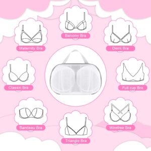 Bra Wash Bags for Laundry, Large Lingerie Underwear Brassiere Bag Set for Washing Machine With Zipper for Women Laundry Storage Washing Delicates (A to C Cups)