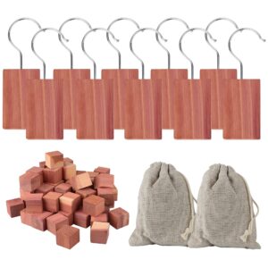 cedar blocks,cedar hang ups for clothes storage - (40 pcs) 100% natural refreshing cedar scent | protects clothes & moisture prevention by vypart