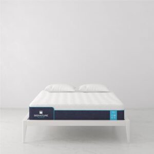 Signature Sleep Bliss 10 Inch Charcoal Cool Gel Memory Foam Mattress-in-a-Box, Medium, Certipur-US and Oeko-TEX, Full