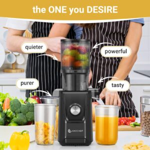 Cold Press Juicer - 4.25 IN Large Feed Chute Juicer Machine for Whole Fruit - Anti Drip Slow Juicer with Reverse Function - Masticating Juicer with Double-Layer Filter, Quiet Motor, Black