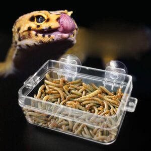 Mllepjdh Reptiles Feeder Drinker with Suction Cup Anti-Escape Reptiles Food Bowl for Tortoise Iguana Supplies Pet Supplies Pet Supplies Amphibians Supplies Pet Health Pet