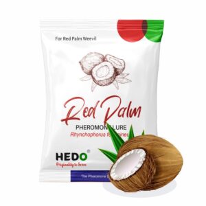 HEDO Red Palm Weevil Bucket Trap with Lure (Rhynchophorus ferrugineus) Pack of 5 to Control Damage in Coconut