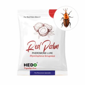 HEDO Red Palm Weevil Bucket Trap with Lure (Rhynchophorus ferrugineus) Pack of 5 to Control Damage in Coconut