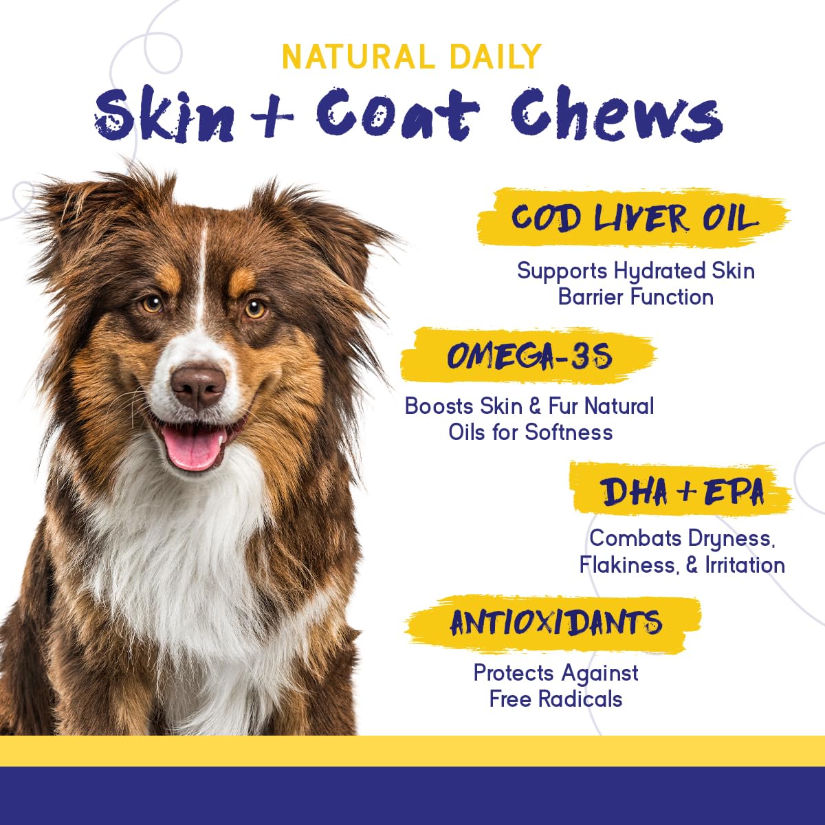 PupGrade 2-Pack Skin & Coat and Joint Support Chews for Dogs - Coat Care & Allergy Defense Supplement with Natural Fish Oils - Hip and Joint Pain Relief - 120 Chews