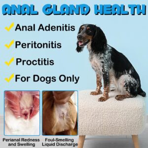 Anal Gland Support Soft Chews for Dog, 150PCs Dog Anal Gland Treats w/Pumpkin, Digestive Enzyme & Probiotics Support Healthy Bowel Function - Dog Health Supplies Fibre Supplements Chews - Beef Flavor