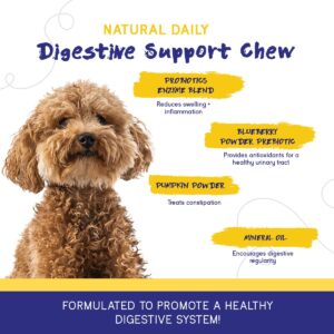 PupGrade 2-Pack Skin & Coat and Digestive Chews for Dogs - Coat Care & Allergy Defense Supplement with Natural Fish Oils - Prebiotic and Probiotic Supplement with Enzyme Blend - 120 Chews