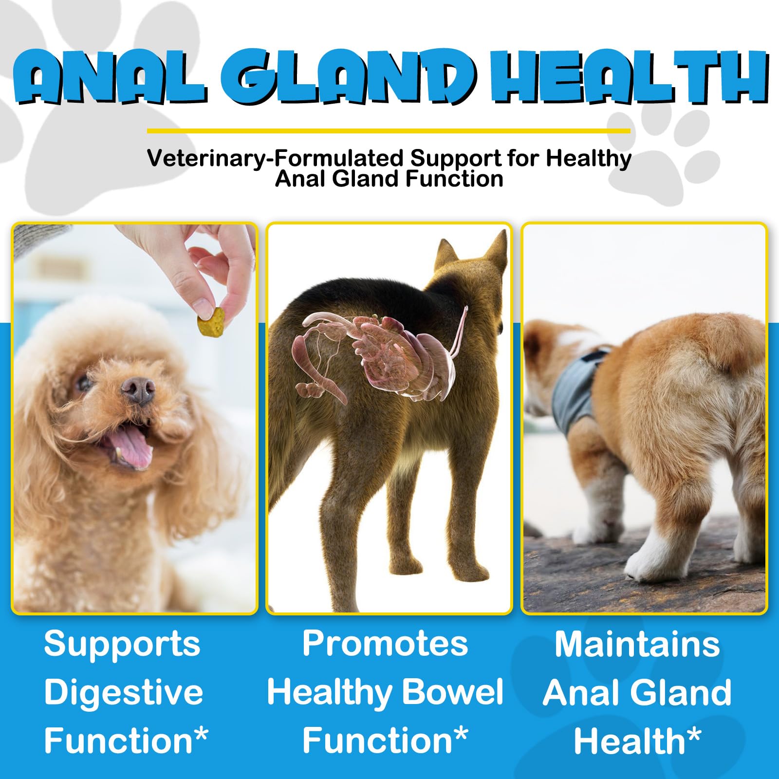 Anal Gland Support Soft Chews for Dog, 150PCs Dog Anal Gland Treats w/Pumpkin, Digestive Enzyme & Probiotics Support Healthy Bowel Function - Dog Health Supplies Fibre Supplements Chews - Beef Flavor