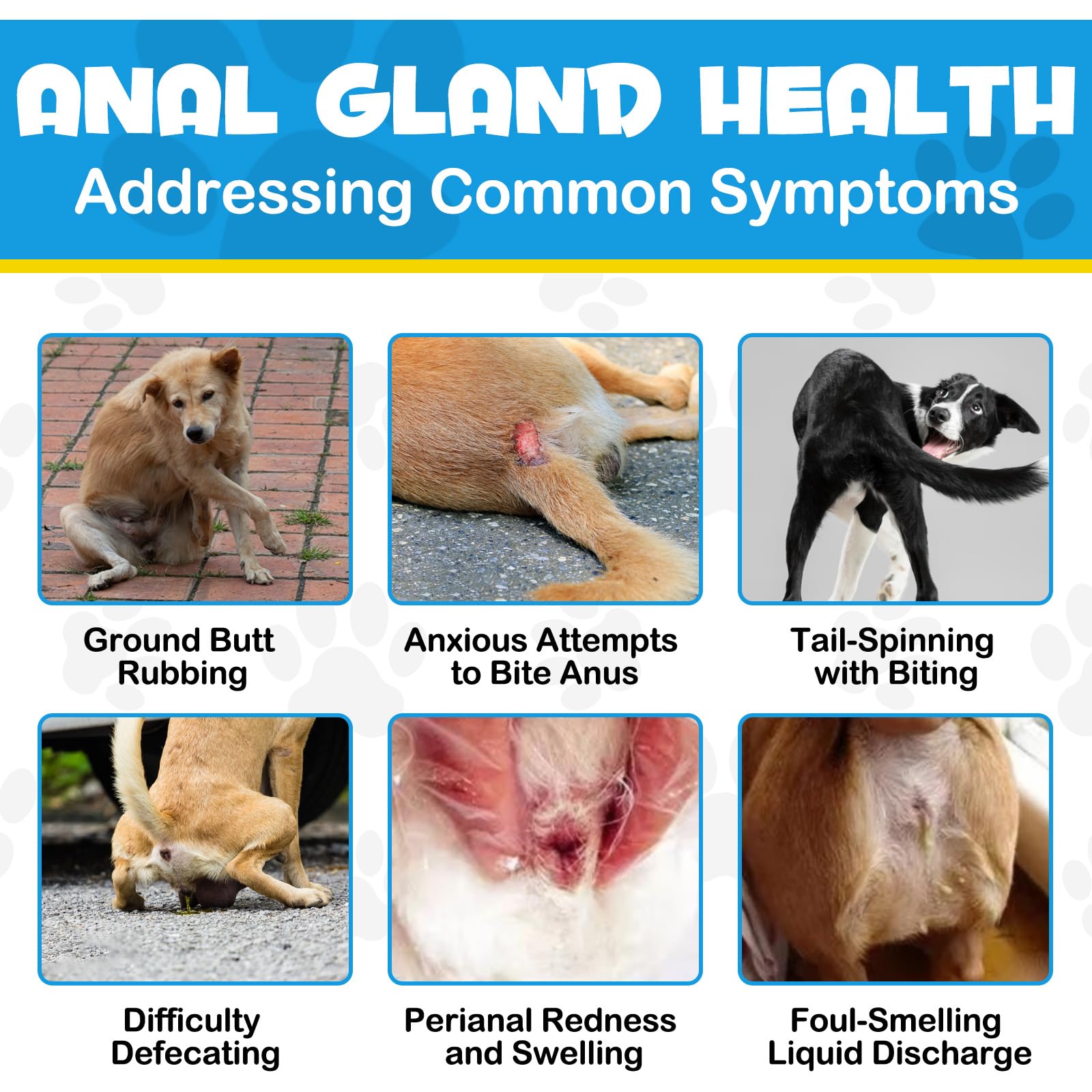 Anal Gland Support Soft Chews for Dog, 150PCs Dog Anal Gland Treats w/Pumpkin, Digestive Enzyme & Probiotics Support Healthy Bowel Function - Dog Health Supplies Fibre Supplements Chews - Beef Flavor