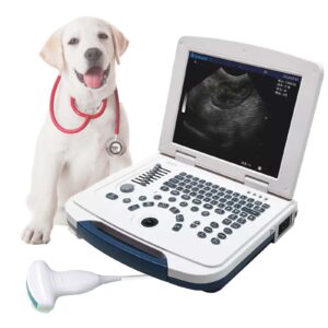 daweianimed veterinary ultrasound scanner laptop ultrasound machine with 3.5mhz convex probe for animals dog,goat,pig,sheep use