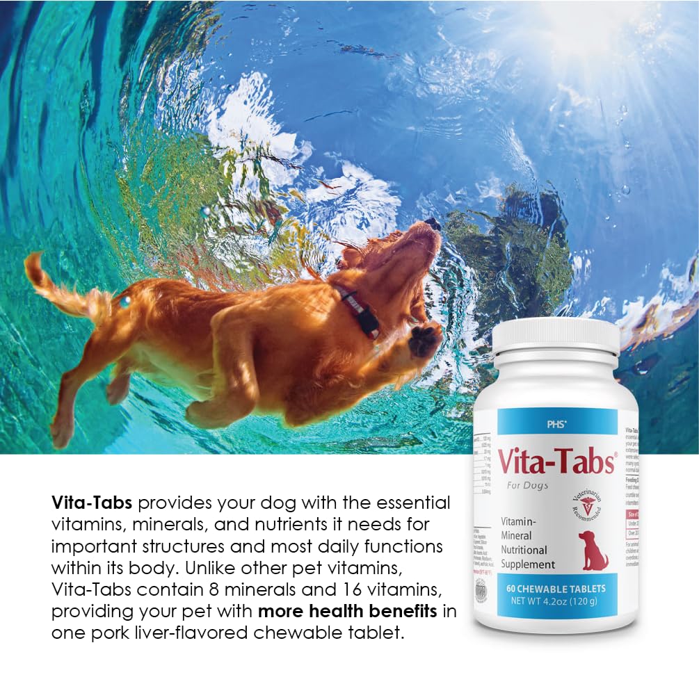 Vita-Tabs - Essential Vitamins, Minerals, Nutrients - Health Supplement for Dogs - Support Immune System, Bones - Liver Flavored - 250 Chewable Tablets