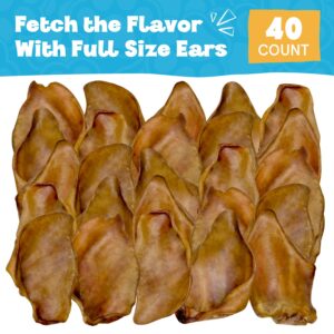 FETCHERONI Whole Pig Ears for German Shepherd Dogs Large - 40 Pack Long Lasting Dog Chews – Dog Treats One Ingredient Delicious All Natural Flavor – Easy to Digest Dog Treats for Large Dog