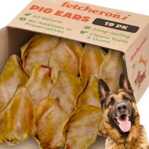 fetcheroni whole pig ears for german shepherd dogs large - 19 pack long lasting dog chews – dog treats one ingredient delicious all natural flavor – easy to digest dog treats for large dog