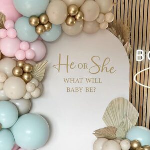 ZAIBIANHAO HE or SHE What Will Baby Be Gender Reveal Party Decal - Gender Reveal Party Decorations,Boy or Girl Baby Shower Backdrop Sign,He or She Baby Shower Decal (HE or SHE Baby Decal)