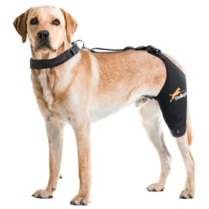 dollephi dog knee brace for torn acl hind leg, hot/cold compress for patella dislocation or osteoarthritis, cruciate ligament injuries, for medium & large dogs(left leg,l)