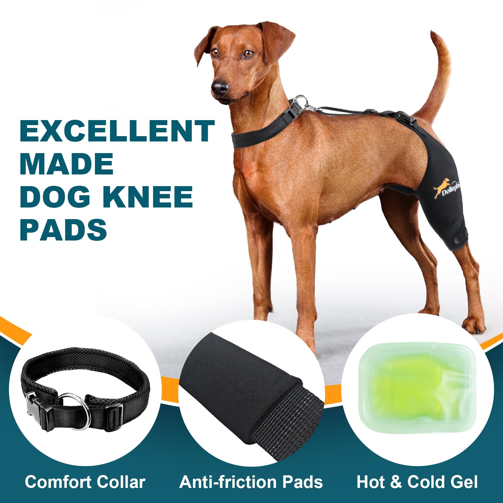 Dollephi Dog Knee Brace for Torn ACL Hind Leg, Hot/Cold Compress for Patella Dislocation or Osteoarthritis, Cruciate Ligament Injuries, for Medium & Large Dogs(Left Leg,L)