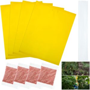 qualirey 4 sets cucumber beetle trap and lure, double sided yellow sticky traps with attractant, fly trap for white flies, fungus gnats, orchard, plant, odorless glue fly trap(7.9 x 5.9 in)