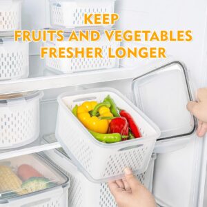 4 PCS Large Fruit Storage Containers for Fridge with Removable Colanders, Airtight Food Storage Containers with Lids, 4 in 1 Produce Containers Keep Food Meat Fresh Longer (0.38L+0.8L+1.7L+3.15L)