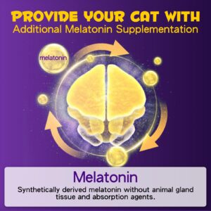 Cat Melatonin, 60ml Melatonin for Cats Helps to Support Restful Sleep for Your Cat - Cat Sleep Aid, Anxiety Relief & Promote Relaxation Bacon Flavor