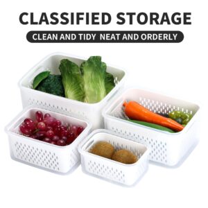 4 PCS Large Fruit Storage Containers for Fridge with Removable Colanders, Airtight Food Storage Containers with Lids, 4 in 1 Produce Containers Keep Food Meat Fresh Longer (0.38L+0.8L+1.7L+3.15L)