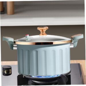 Enamel Pot 5L Non-stick Micro Pressure Cooker with Secure Lock Spill-proof Enamel Stock Pot with Lid Silicone Valve Pressure Pot for Cooking White