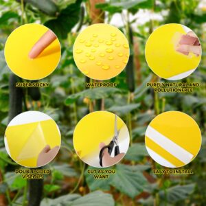 Qualirey 4 Sets Cucumber Beetle Trap and Lure, Double Sided Yellow Sticky Traps with Attractant, Fly Trap for White Flies, Fungus Gnats, Orchard, Plant, Odorless Glue Fly Trap(7.9 x 5.9 in)