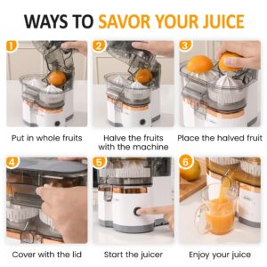 Sunvivi Dual-Head Electric Citrus Juicer, Rechargeable Juicer Machine with USB Charging & Cleaning Brush, Portable Lemon Squeezer for Fresh Orange, Lemon, Lime, Kiwi, Grapefruit, Easy to Clean & Use