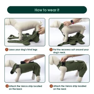 Kuoser Thigh Wound Protective Sleeve for Dogs, Dog Surgery Recovery Suit for Rear Legs, Dog Recovery Sleeve for Female Male Dogs, Dog Onesie After Surgery Pet Surgical Suit for Spay Neuter, Green XL