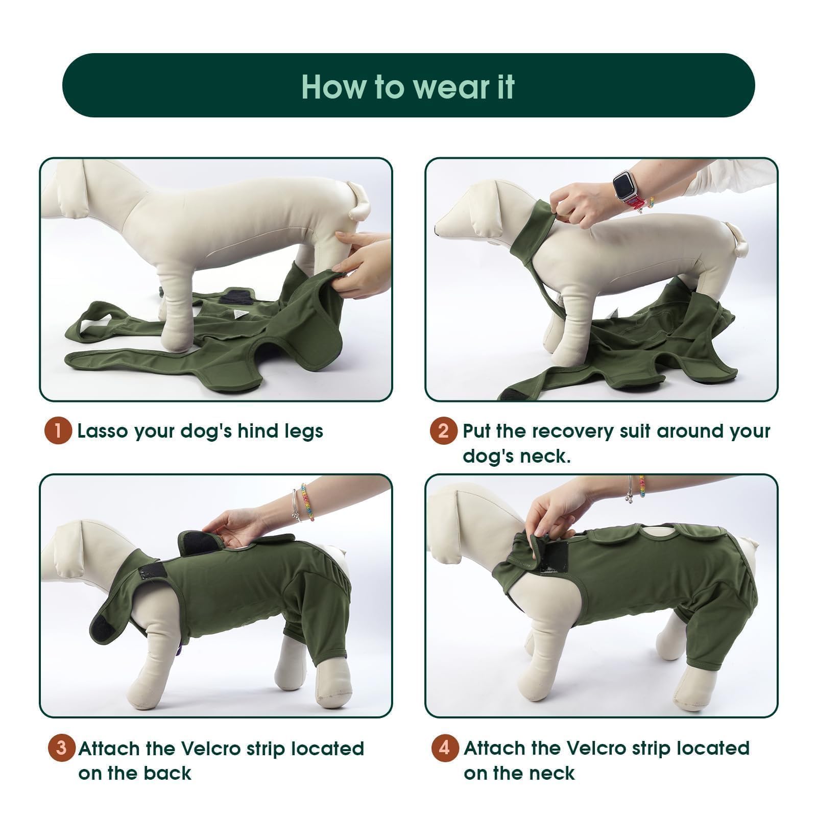 Kuoser Thigh Wound Protective Sleeve for Dogs, Dog Surgery Recovery Suit for Rear Legs, Dog Recovery Sleeve for Female Male Dogs, Dog Onesie After Surgery Pet Surgical Suit for Spay Neuter, Green XL