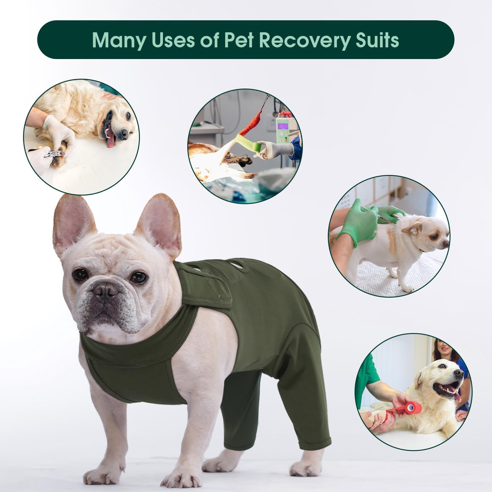 Kuoser Thigh Wound Protective Sleeve for Dogs, Dog Surgery Recovery Suit for Rear Legs, Dog Recovery Sleeve for Female Male Dogs, Dog Onesie After Surgery Pet Surgical Suit for Spay Neuter, Green XL