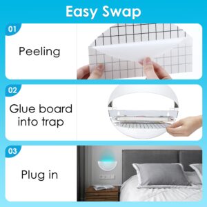 Qualirey 20 Pack Flying Insect Trap Refill Compatible with Faicuk FA-FLT07 Wall Sconce Fly Trap, Replacement Fly Glue Boards Refills for Capturing Flies, Moths, Gnats, Mosquitoes