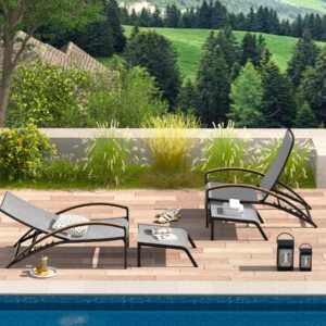 Ulax furniture Outdoor Chaise Lounges, Set of 2, Patio Aluminum Convertible Lounger Chairs with Phifertex Fabric