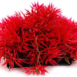 YuanHolumid Red Artificial Flowers, Fake Flowers, Artificial Pine with Base Grass Fish Tank Ornament Aquatic Plant Landscape Decor, Aquarium Décor, Pet Supplies