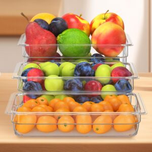 HNEDSEN 6 Pack Plastic Food Pan with Lid 1/2 Size 2.5 Inch Deep Restaurant Clear Food Storage Containers Polycarbonate Commercial Hotel Pans for Fruits Vegetables Beans Corns (6 PCS, 2.5'' Deep)