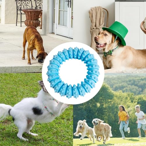 FINLALO Rubber Dog Toys, Pet Supply Outdoor Dog Ring Toy, Chew Toy Supports Dog Dental Health, Puppy Teething Toys for Small Medium Dogs (Blue)